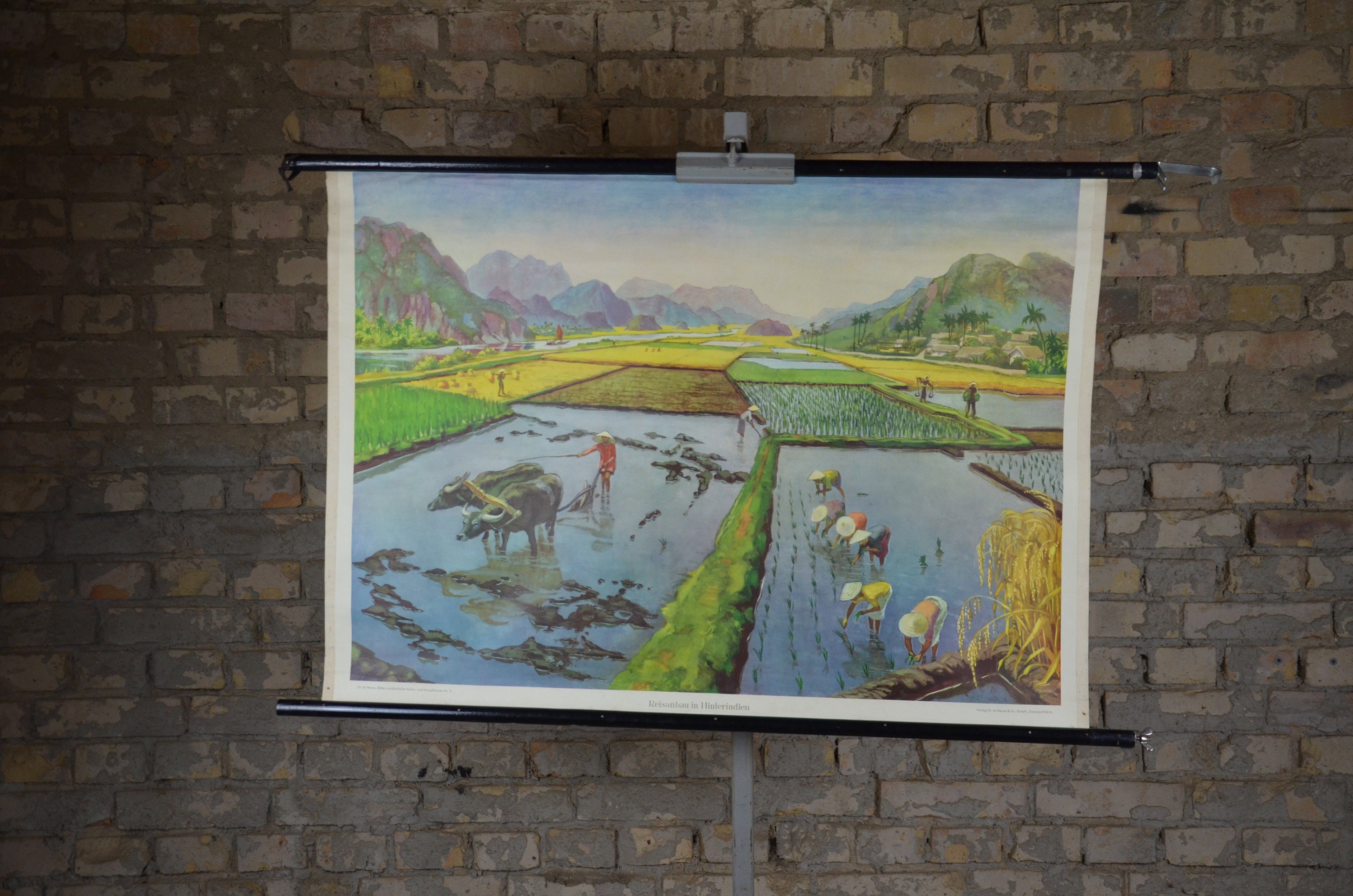 Rice Field in South-east Asia: Original Vintage 1950s German ...