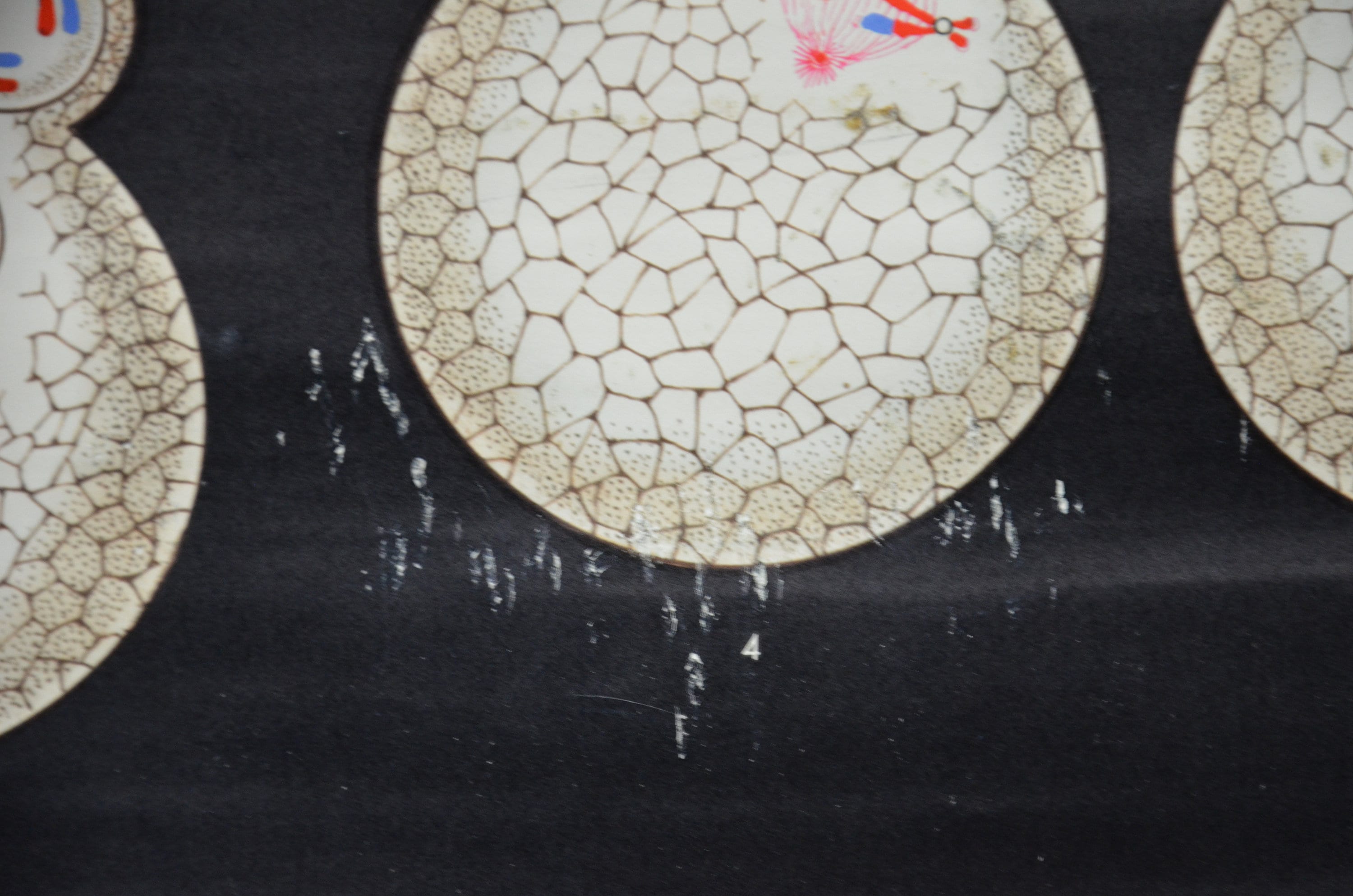 Human Mitosis Oogenesis Spermatogenesis: Original Vintage - Etsy