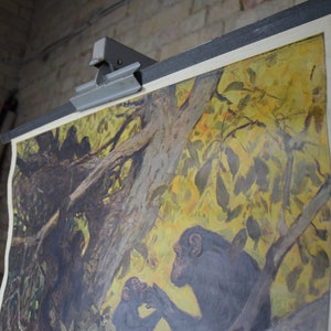 Chimpanzee, Primate: Original Antique 1920s German Educational Poster ...