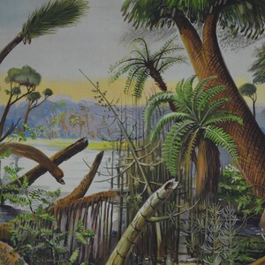 Carboniferous Forest, Paleozoic Plants, Fossils: Original Antique 1940s ...