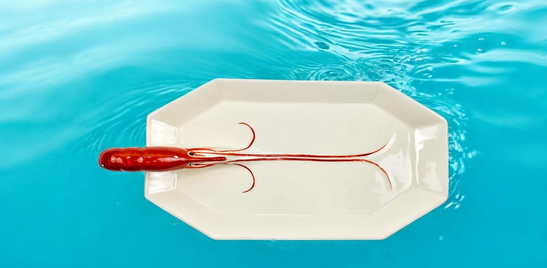 Vintage Ceramic Seafood/prawn Serving Platter - Etsy