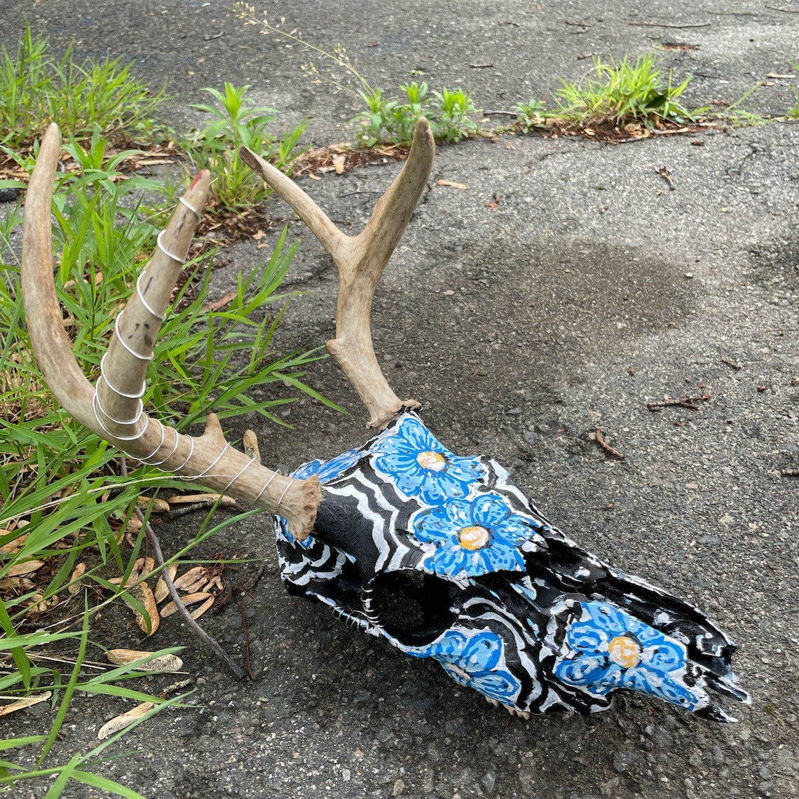 Pagan Spiritual Floral Painted Real Deer Skull - Etsy UK