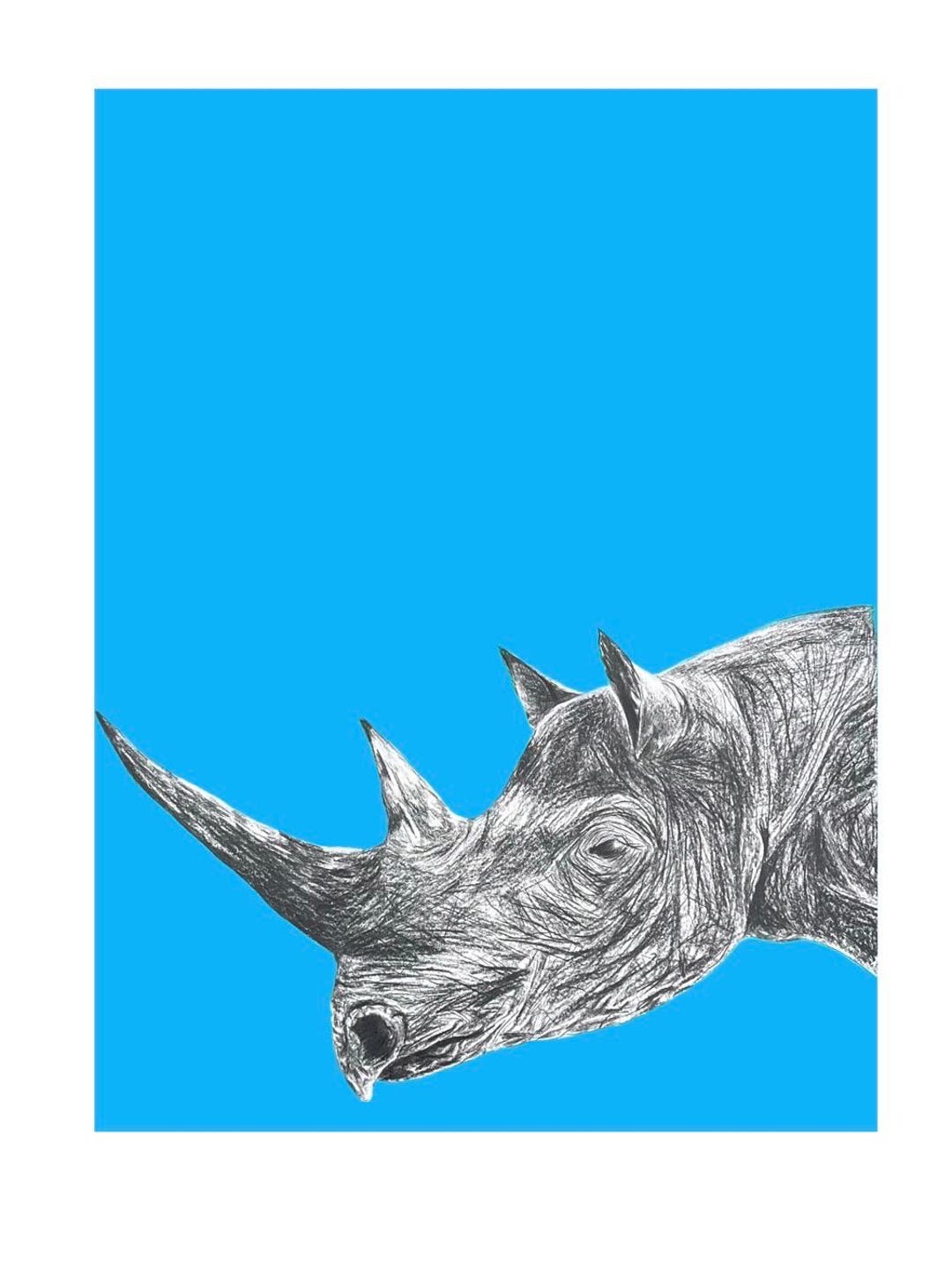 Rhino A4 Velvet Etching Giclee Art Print Signed - Etsy