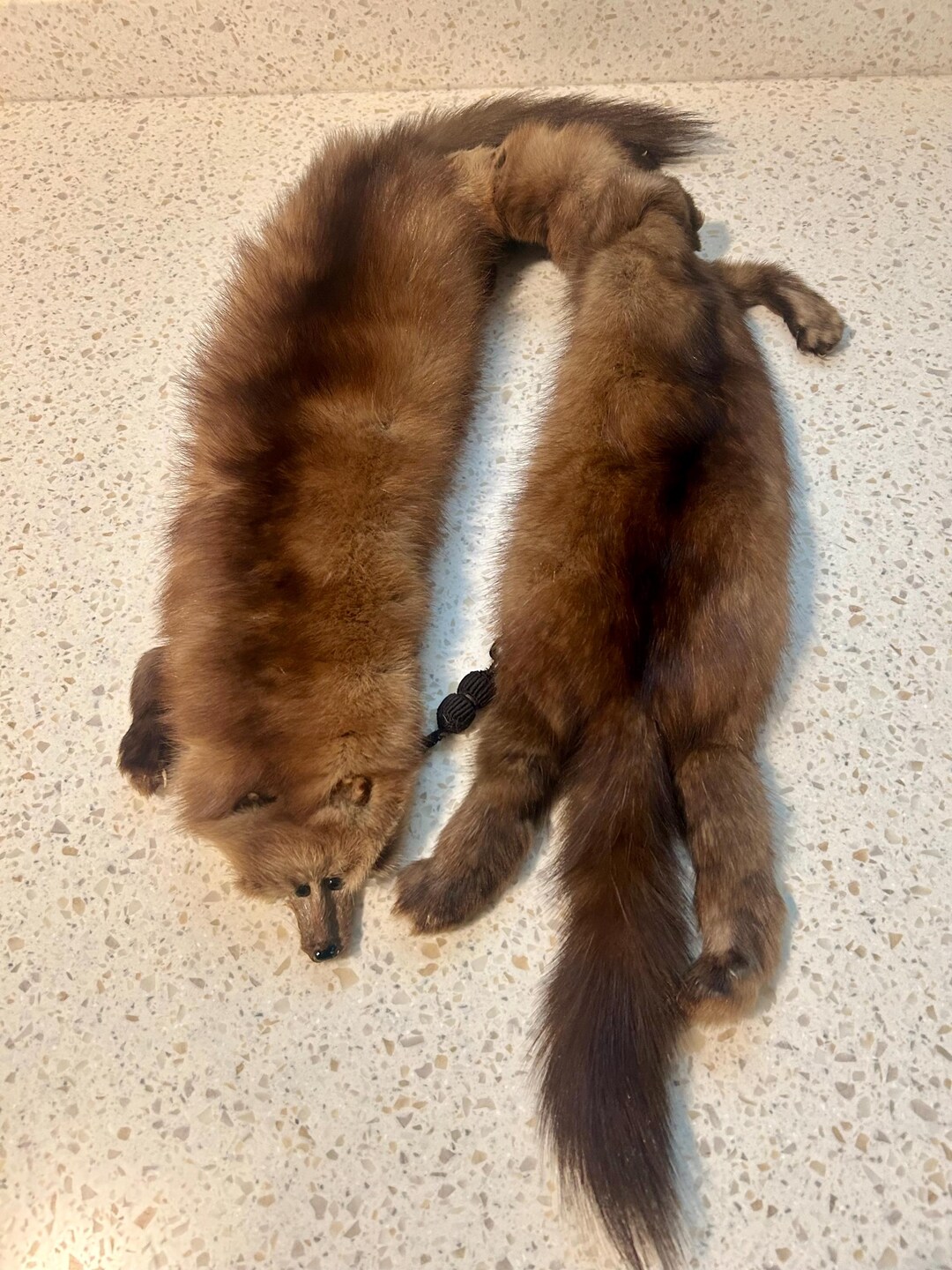 Beautiful Vintage 1950s Sable Stole - Etsy