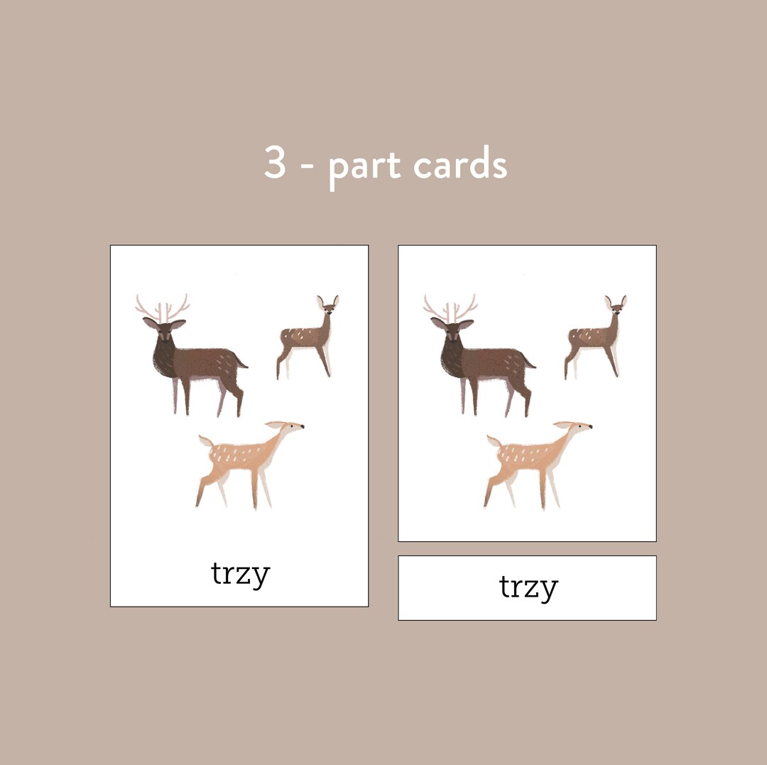 Winter Wonderland NUMBER CARDS 1-10 | 7 Languages | 3 Part Cards ...