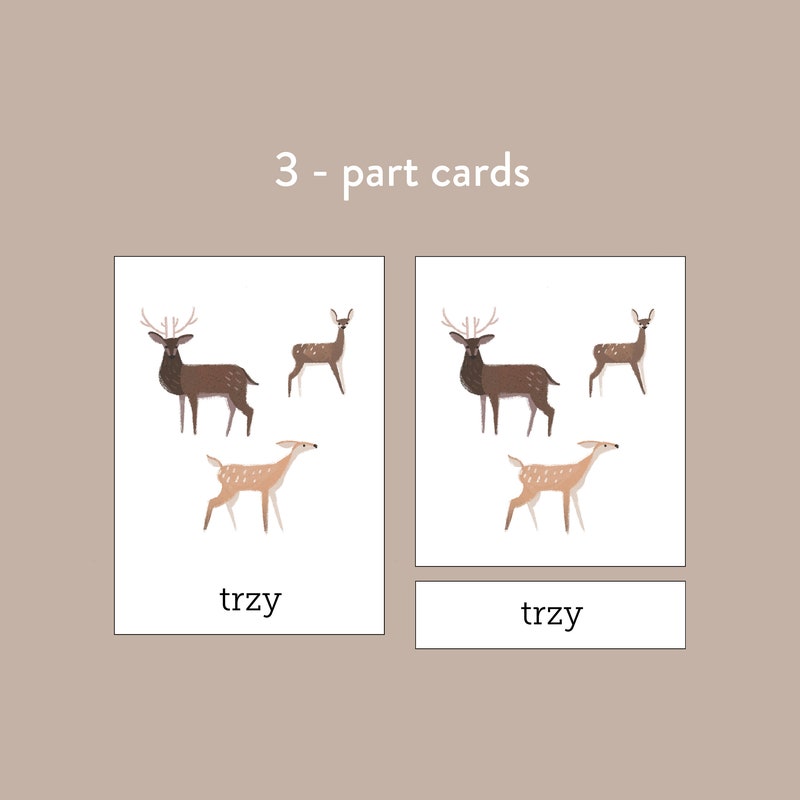 Wonderland Number Toys - Etsy