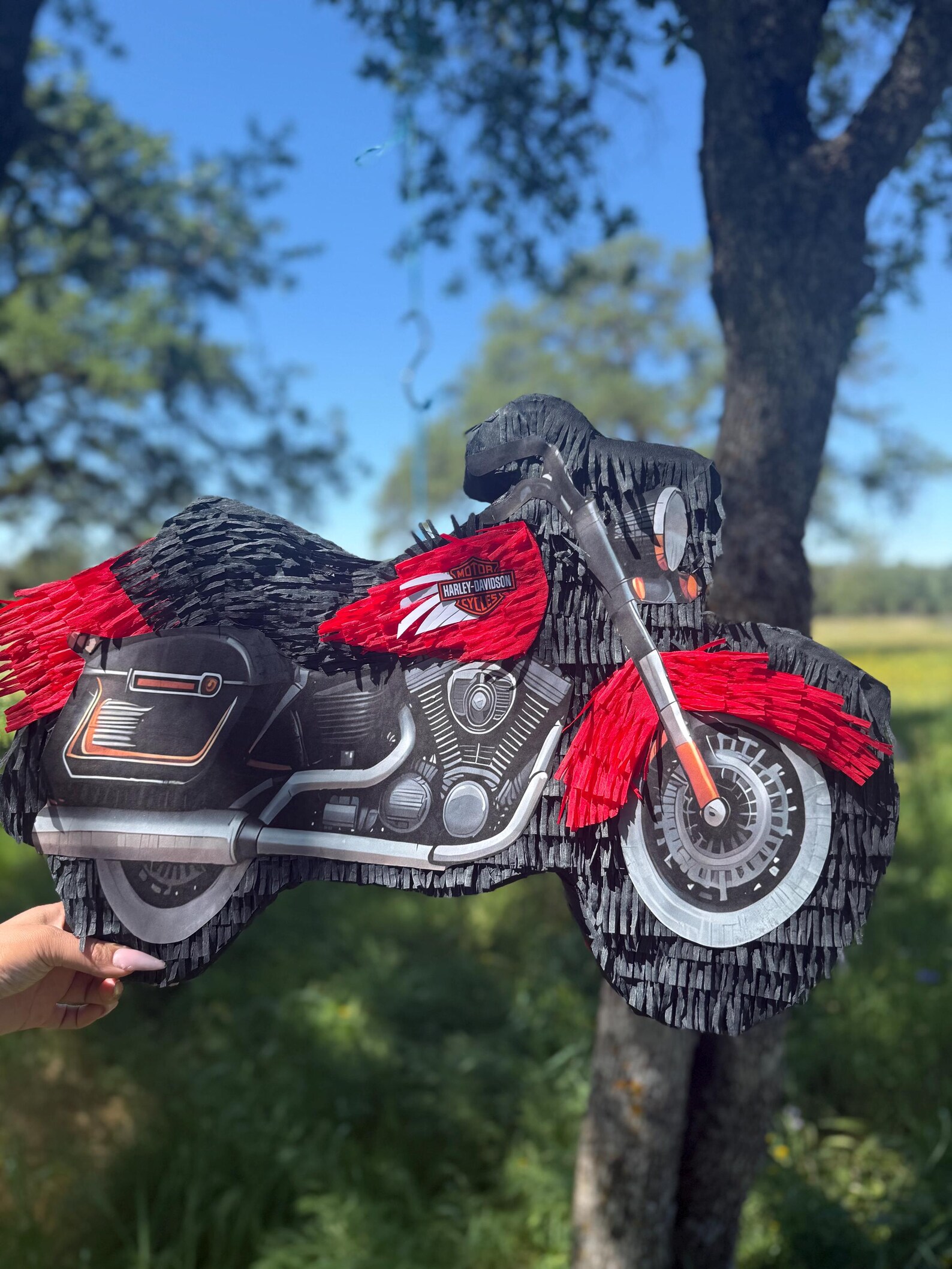 Custom Motorcycle Piñata – Chopper Style Birthday Party Decoration - Etsy