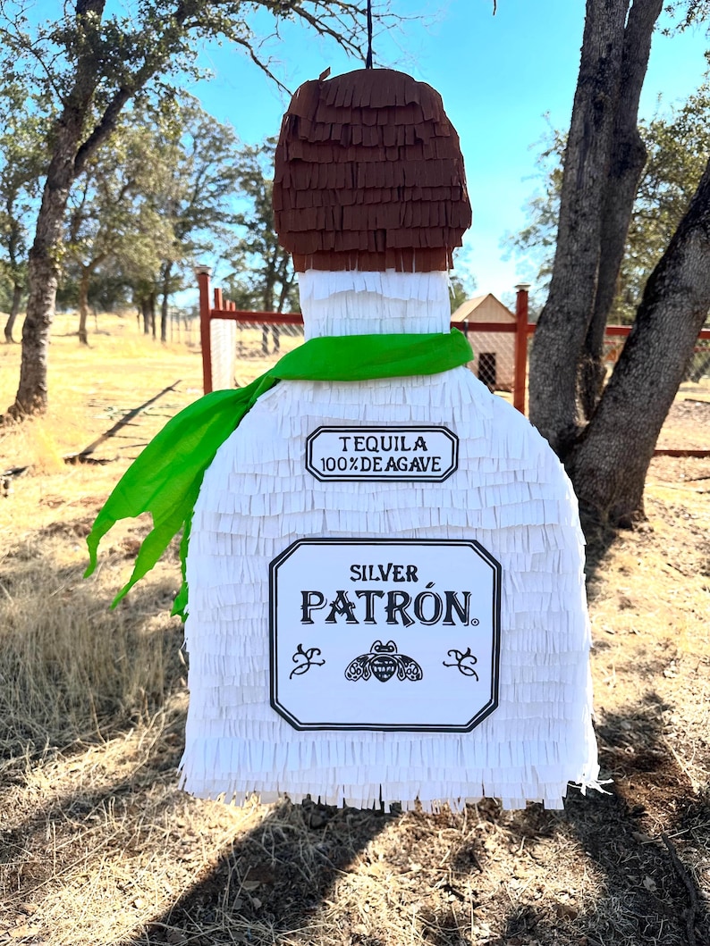 Patron Tequila Piñata Fun & Festive Mexican-inspired Party Decoration ...