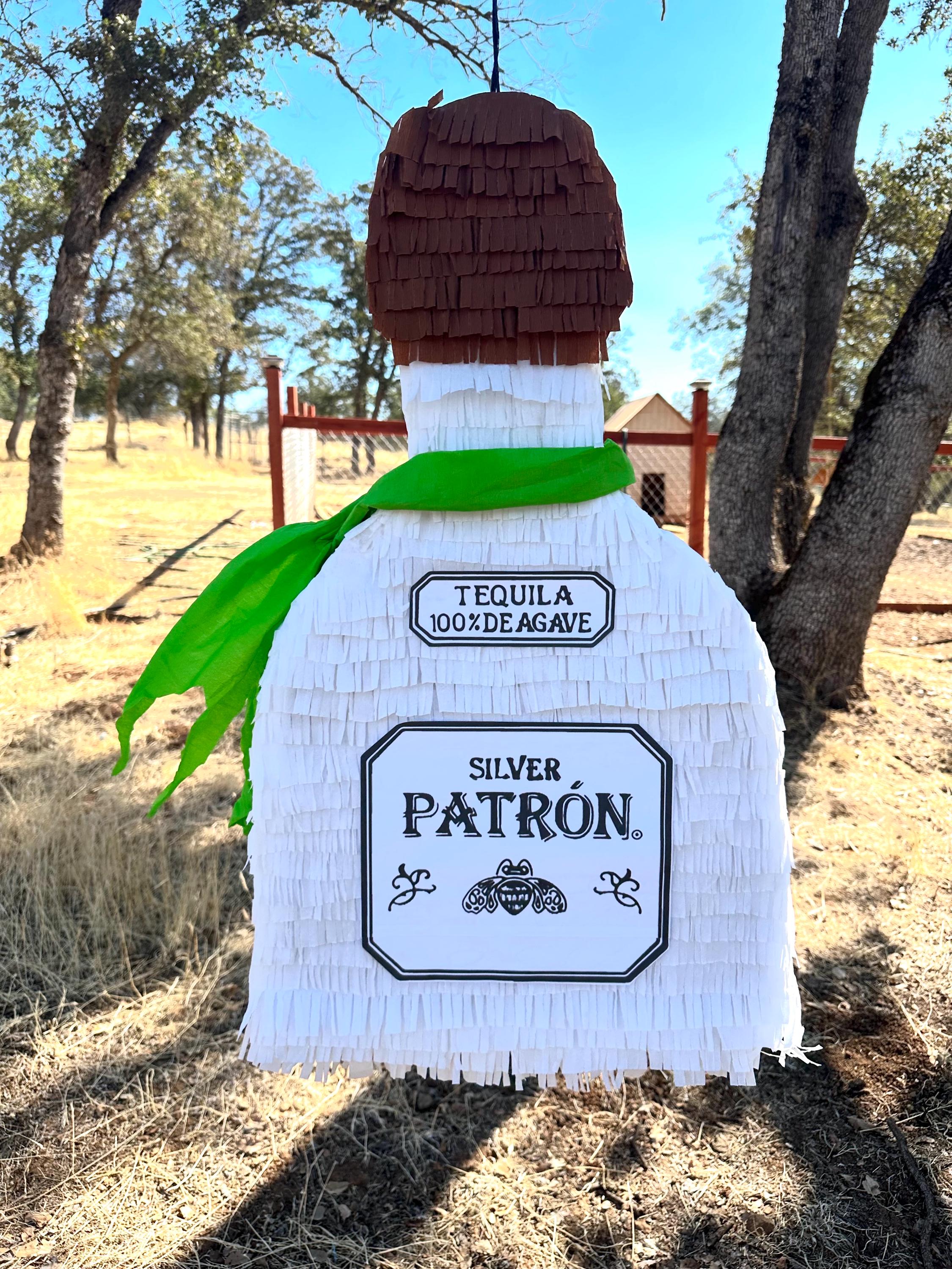 Patron Tequila Piñata Fun & Festive Mexican-inspired Party Decoration ...