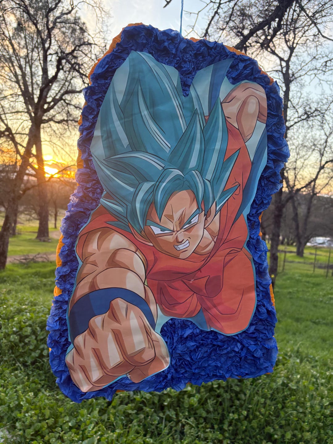 Goku Piñata – Dragon Ball Z Themed Party Fun - Etsy