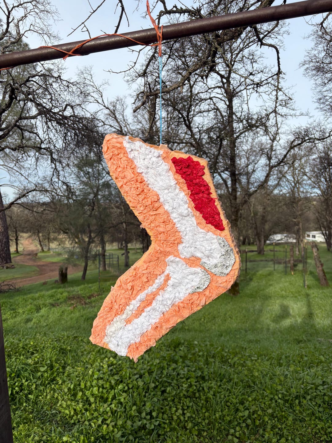 Knee Surgery Leg Pinata - Etsy