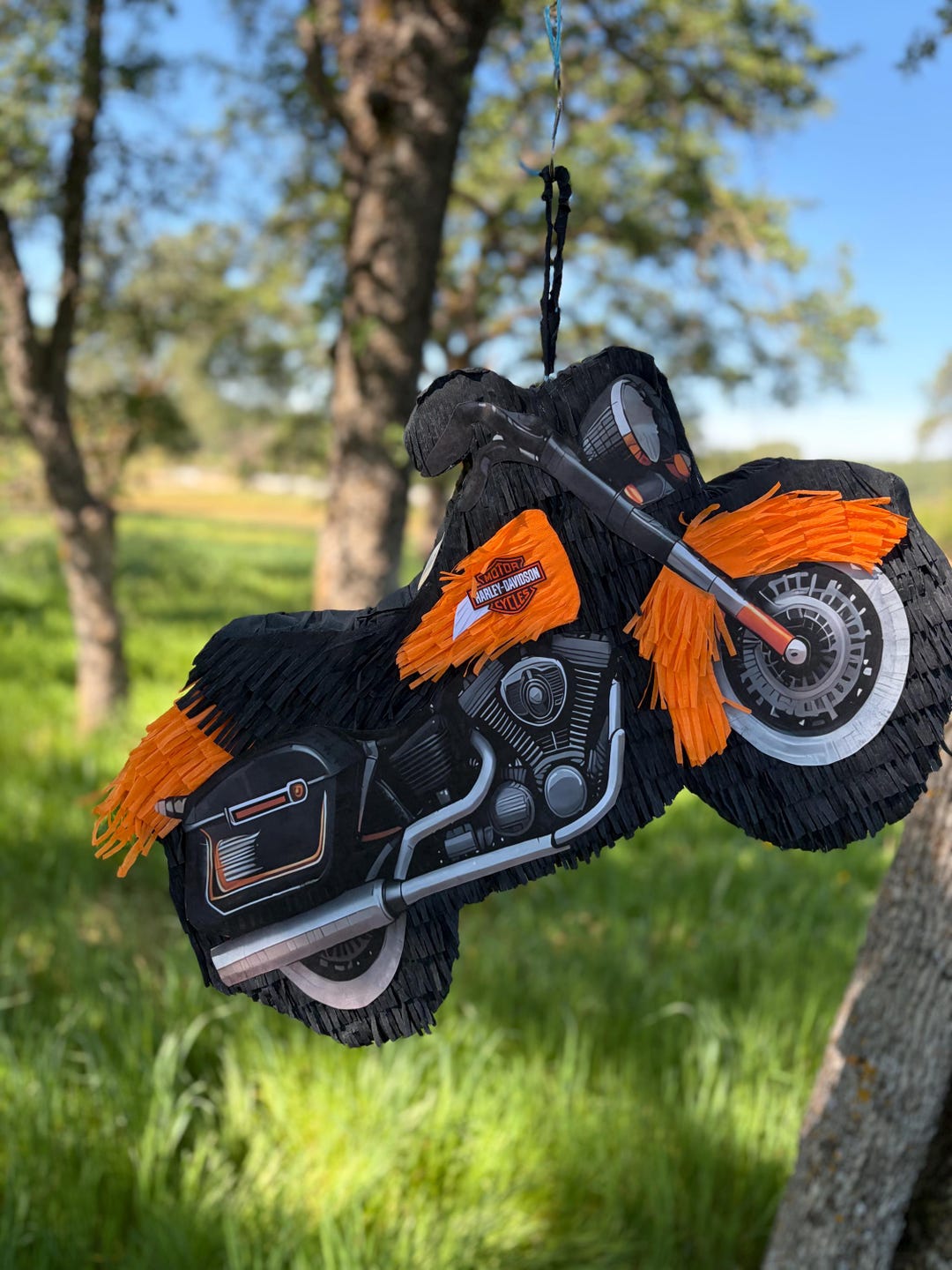 Custom Motorcycle Piñata – Chopper Style Birthday Party Decoration - Etsy