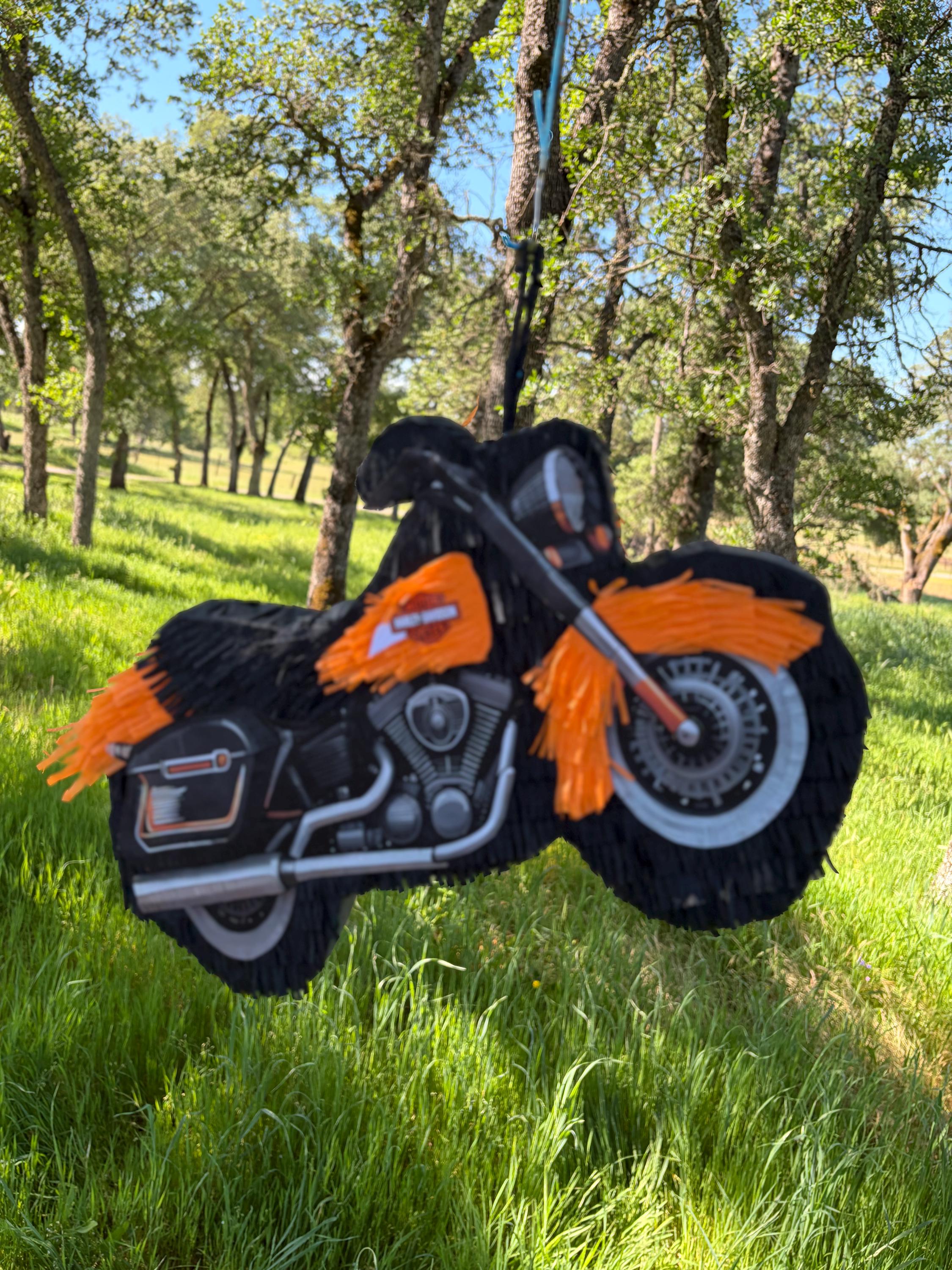 Custom Motorcycle Piñata – Chopper Style Birthday Party Decoration - Etsy