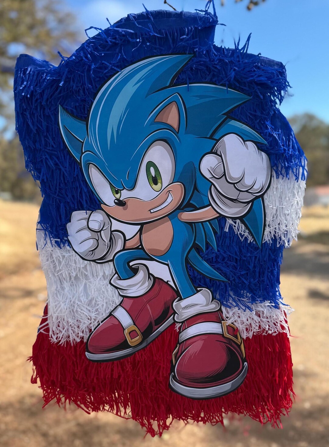 Sonic the Hedgehog Piñata 24"x18"x4" - Etsy Canada