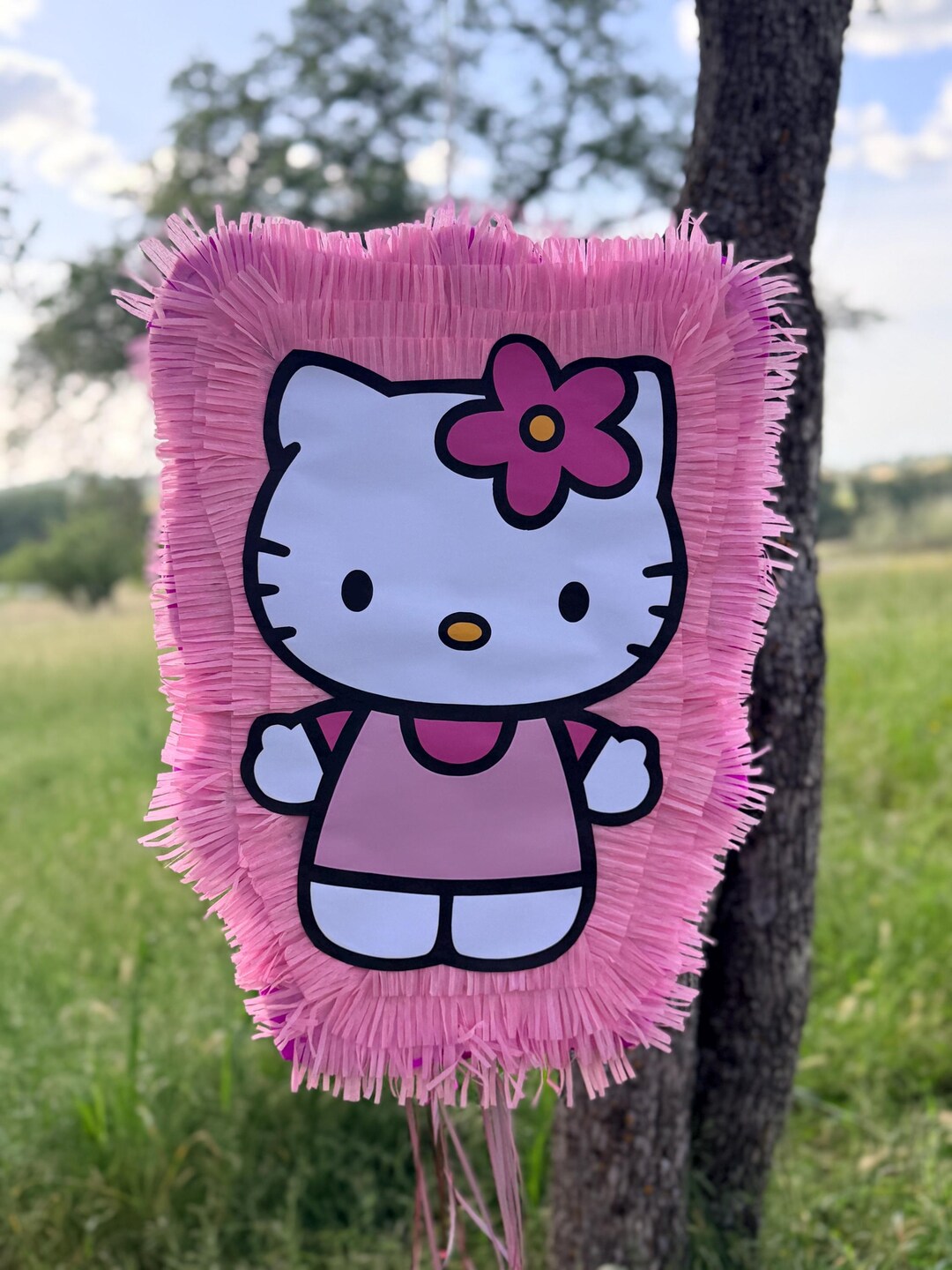 Handmade Kitty Pinata: Colorful Birthday Party Decoration (23