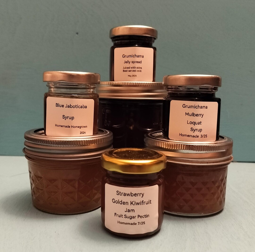 Homemade Exotic Fruit Jam, Jelly & Syrup Variety Pack - Etsy