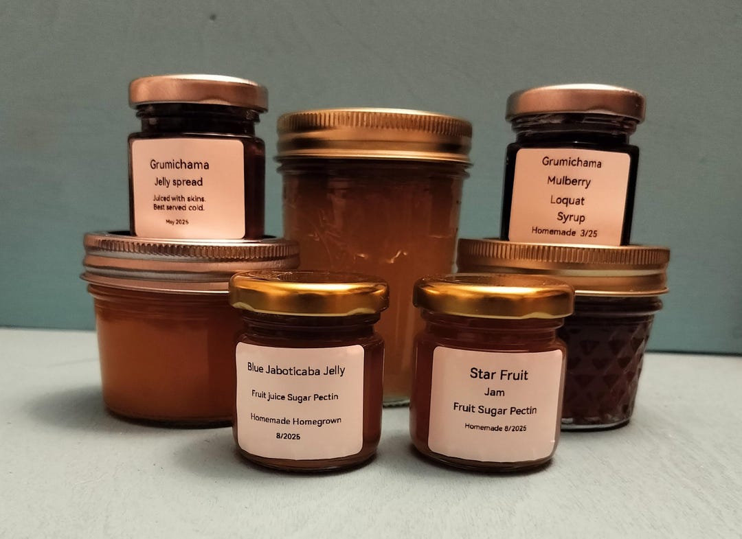 Exotic Fruit Jam Variety Pack, Homemade Tropical Preserves - Etsy