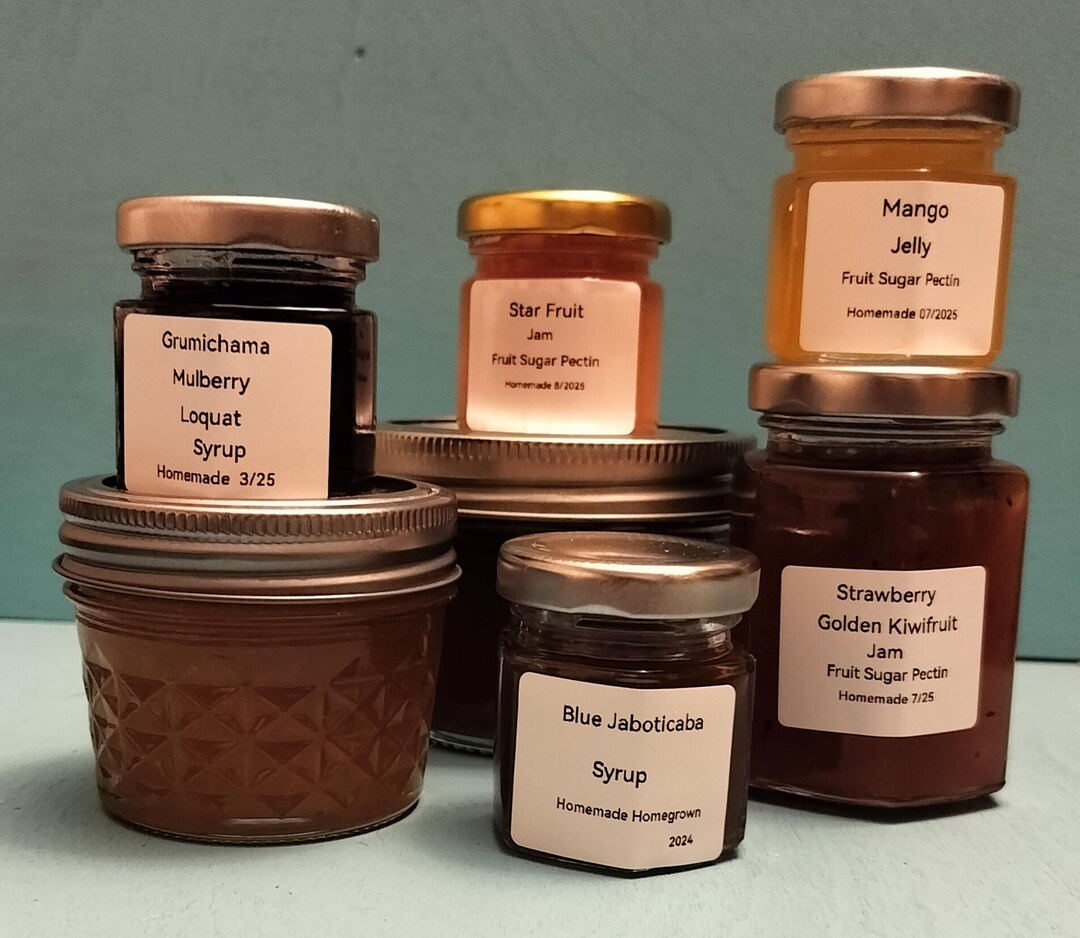 Homemade Exotic Fruit Jam Variety Pack, Tropical Flavors - Etsy