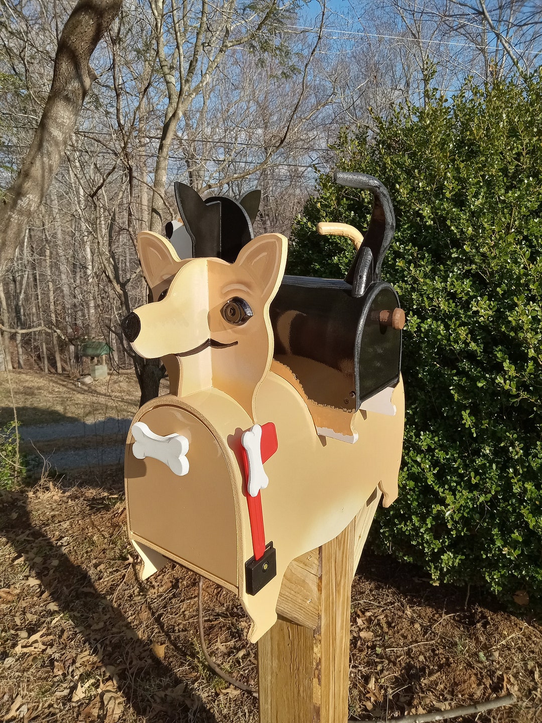 Chihuahua Mailbox Custom Dog/pets - Etsy