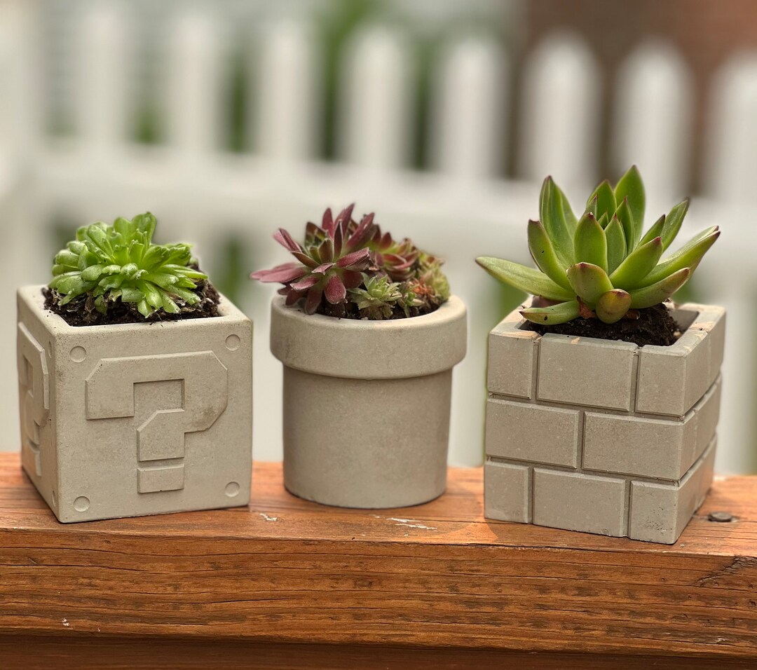 Concrete Super Mario Planter Gamer Succulent Planters Concrete Warp ...