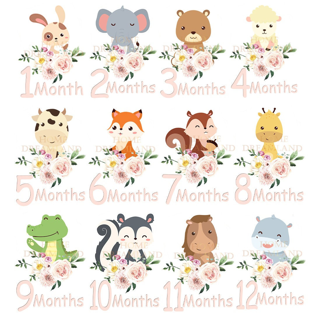 Baby Milestone Cards, Instant Download Monthly Milestones Cards, Mom to ...