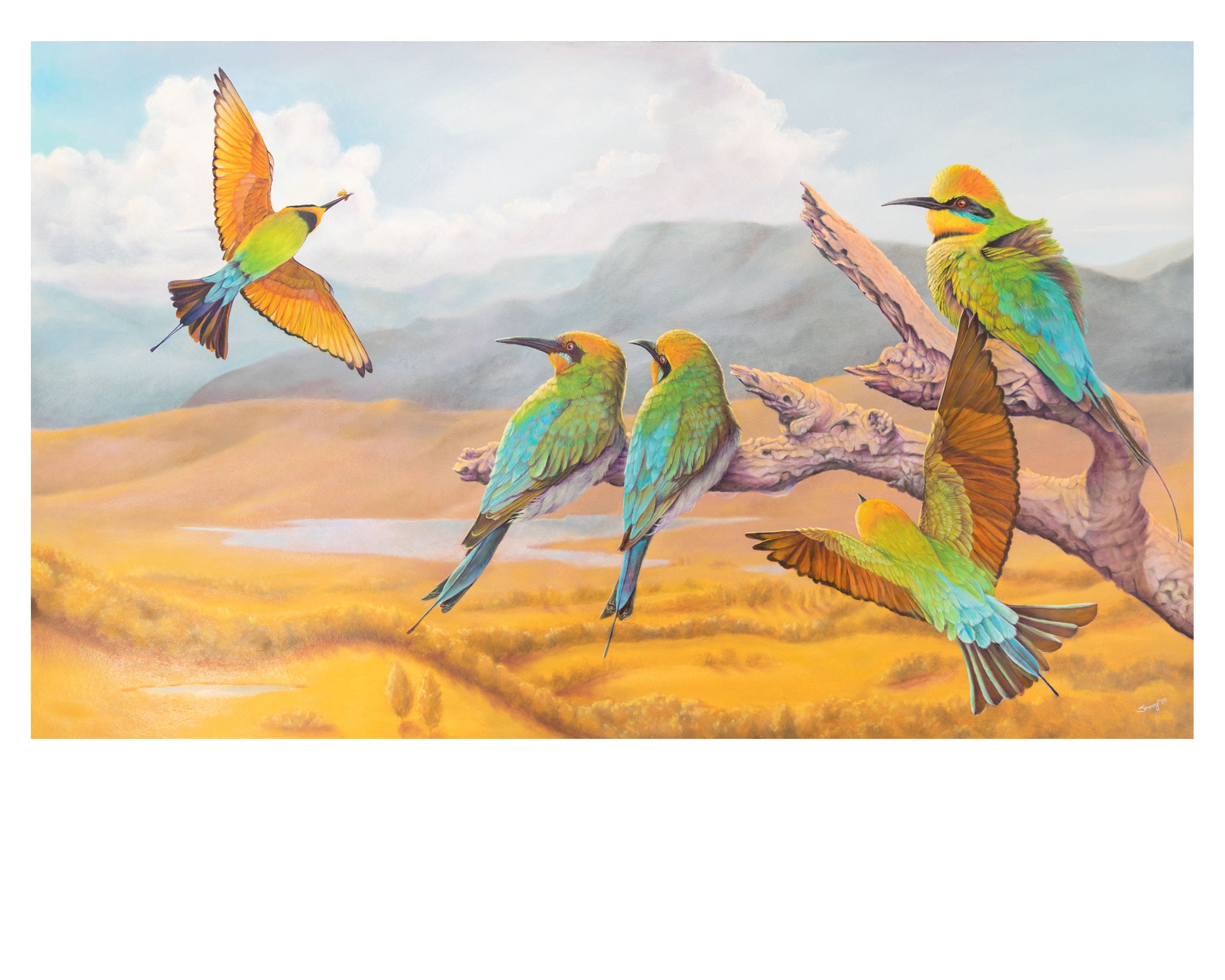 Rainbow Bee-eaters Limited Edition Fine Art Prints Bird Art Gift Idea ...