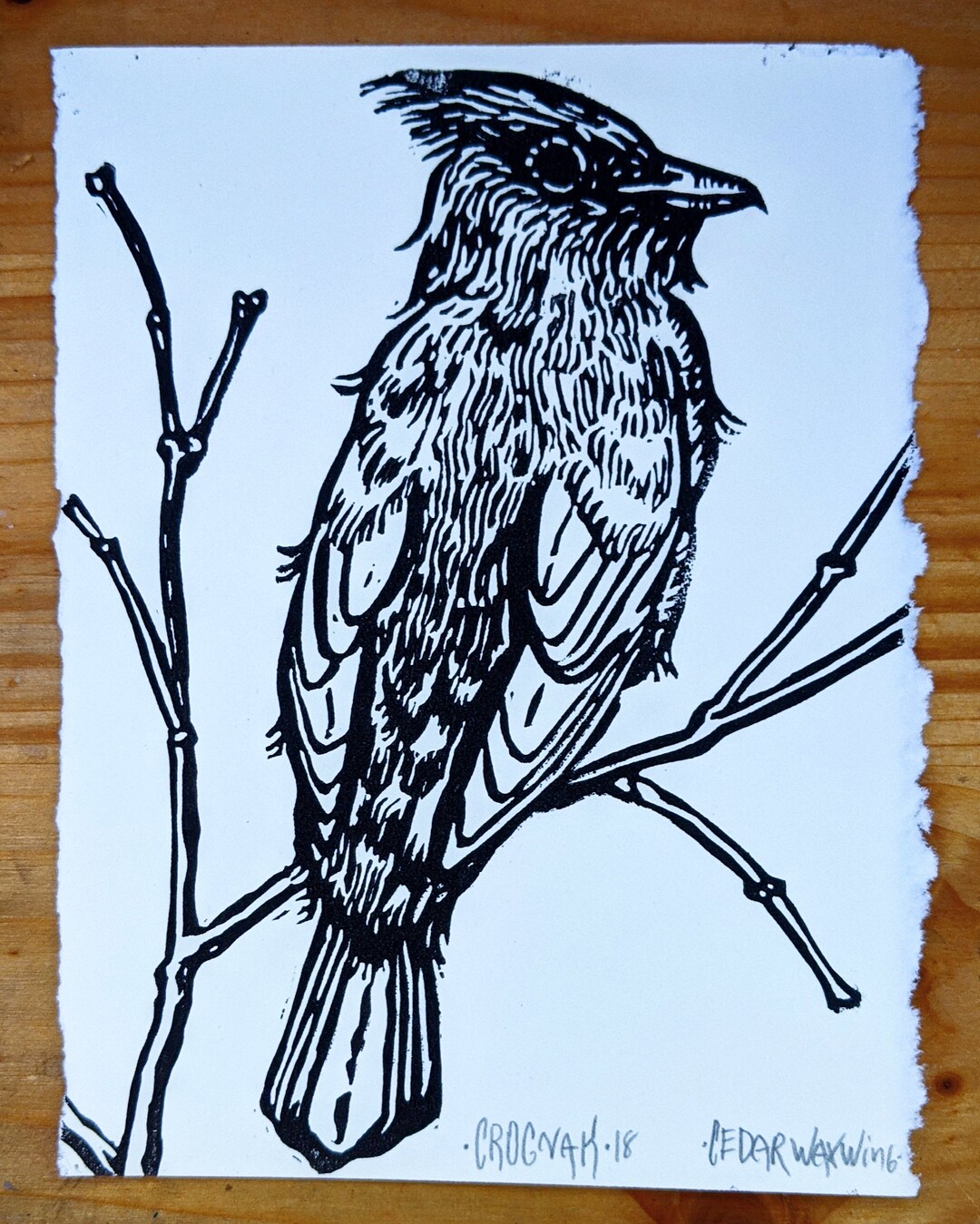 Cedar Waxwing Relief Print - Etsy