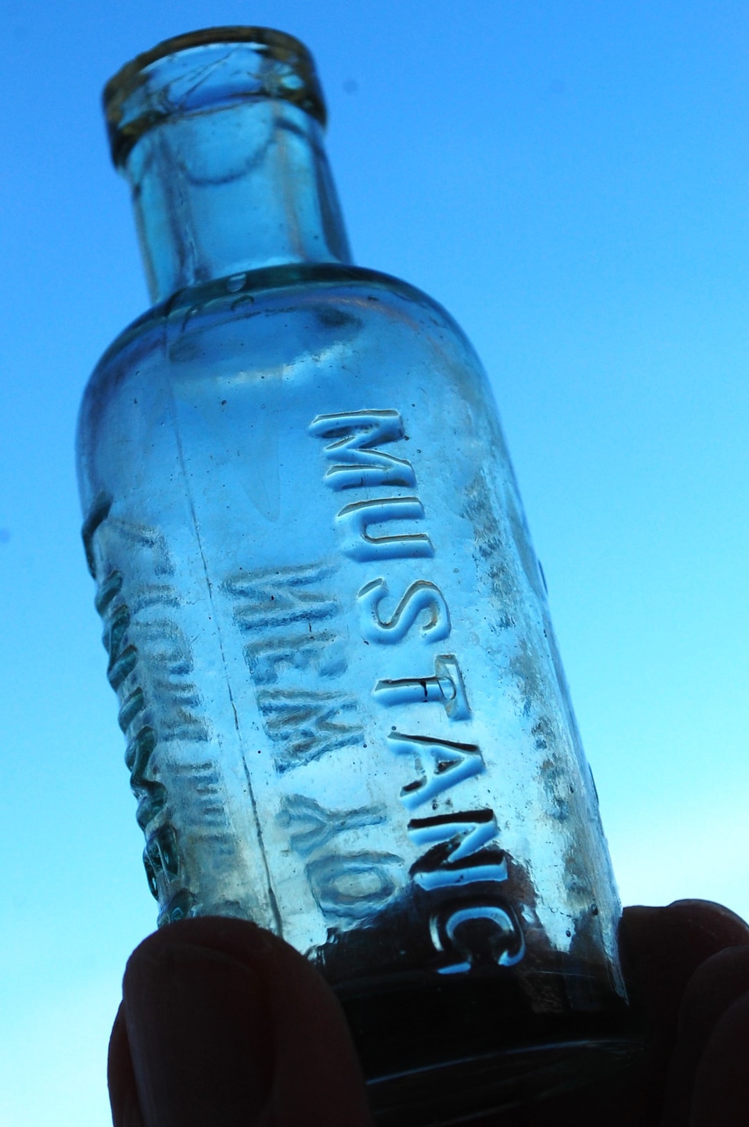 MEXICAN MUSTANG LINIMENT Bottle, 1850-era Medicine for “man & Beast” - Etsy