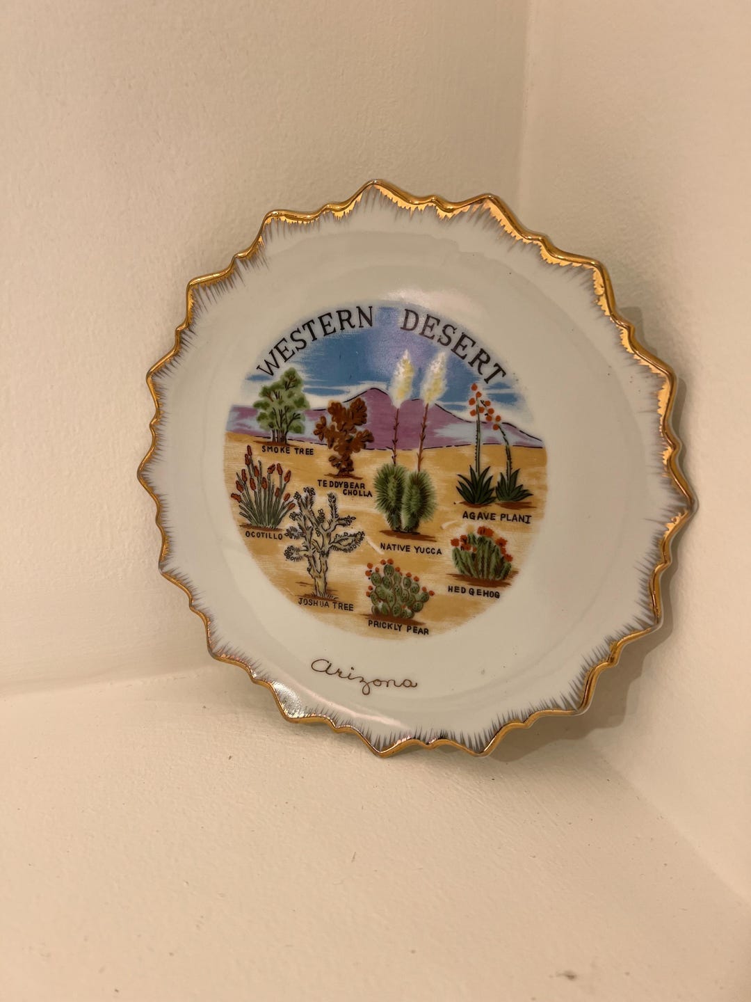 Vintage Souvenir Plate, Western Desert Arizona, USA - Etsy