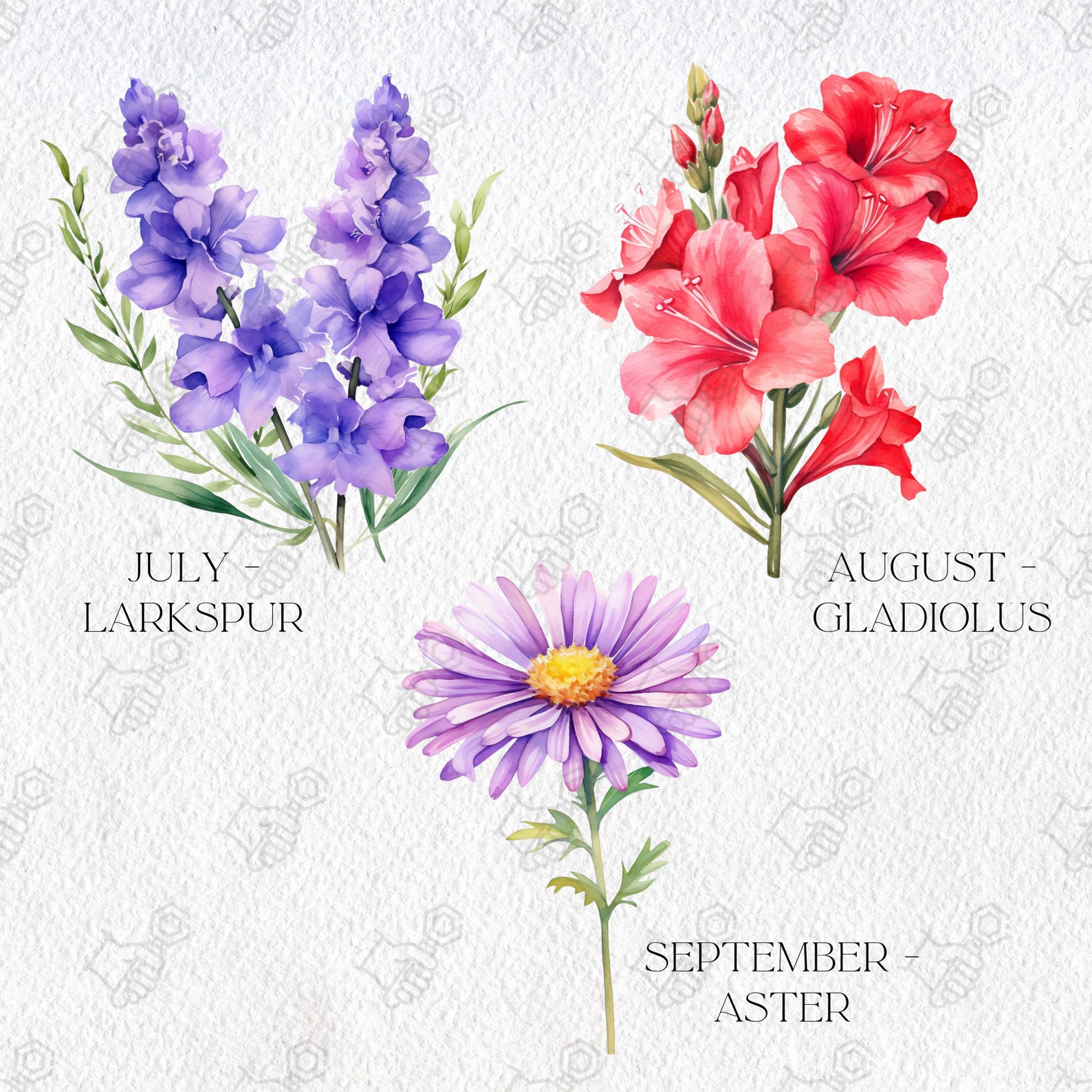 Watercolor Birth Month Flower Clipart, Birth Month Flower PNG, Birth ...