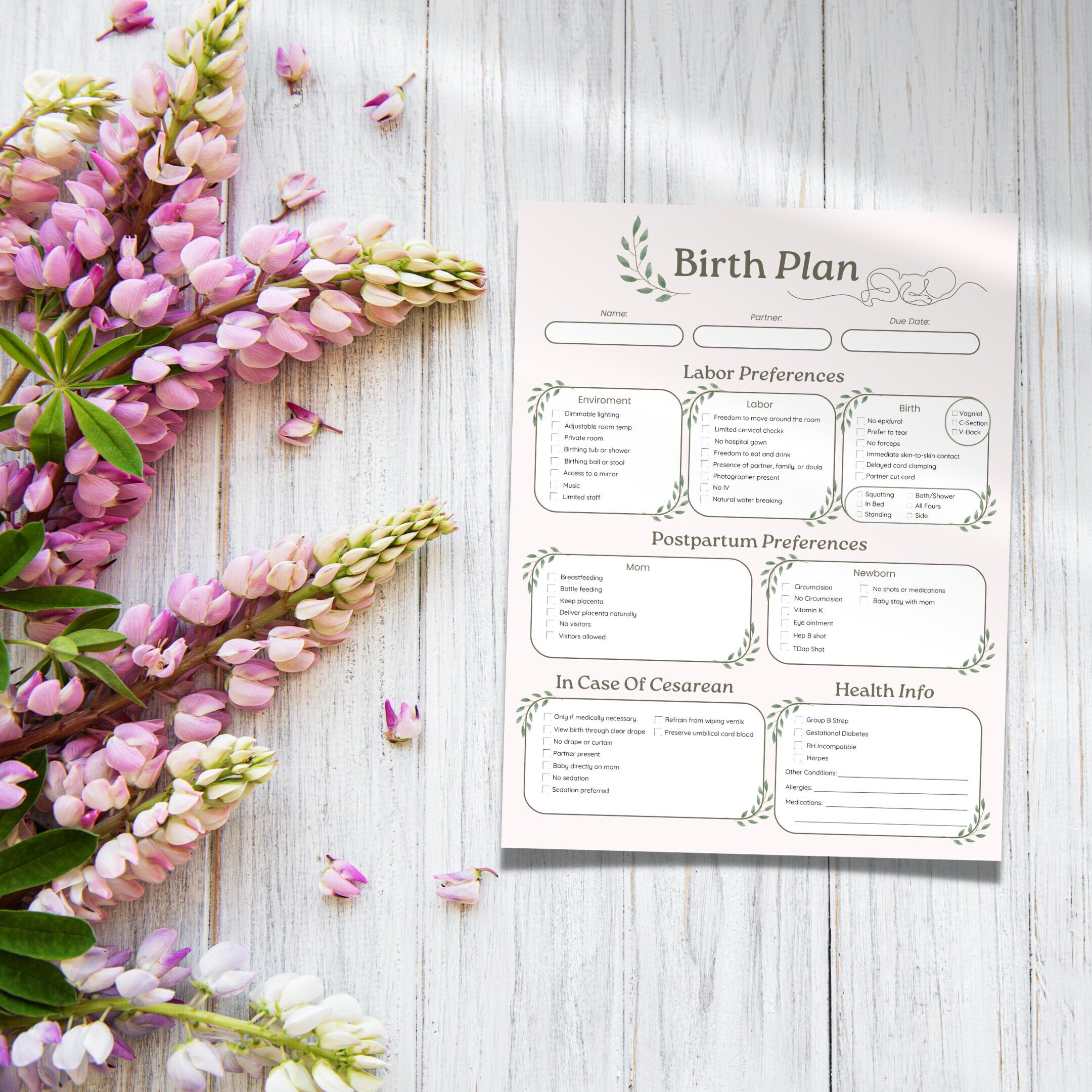 Editable Birth Plan Template Pregnancy Planner Labor and - Etsy