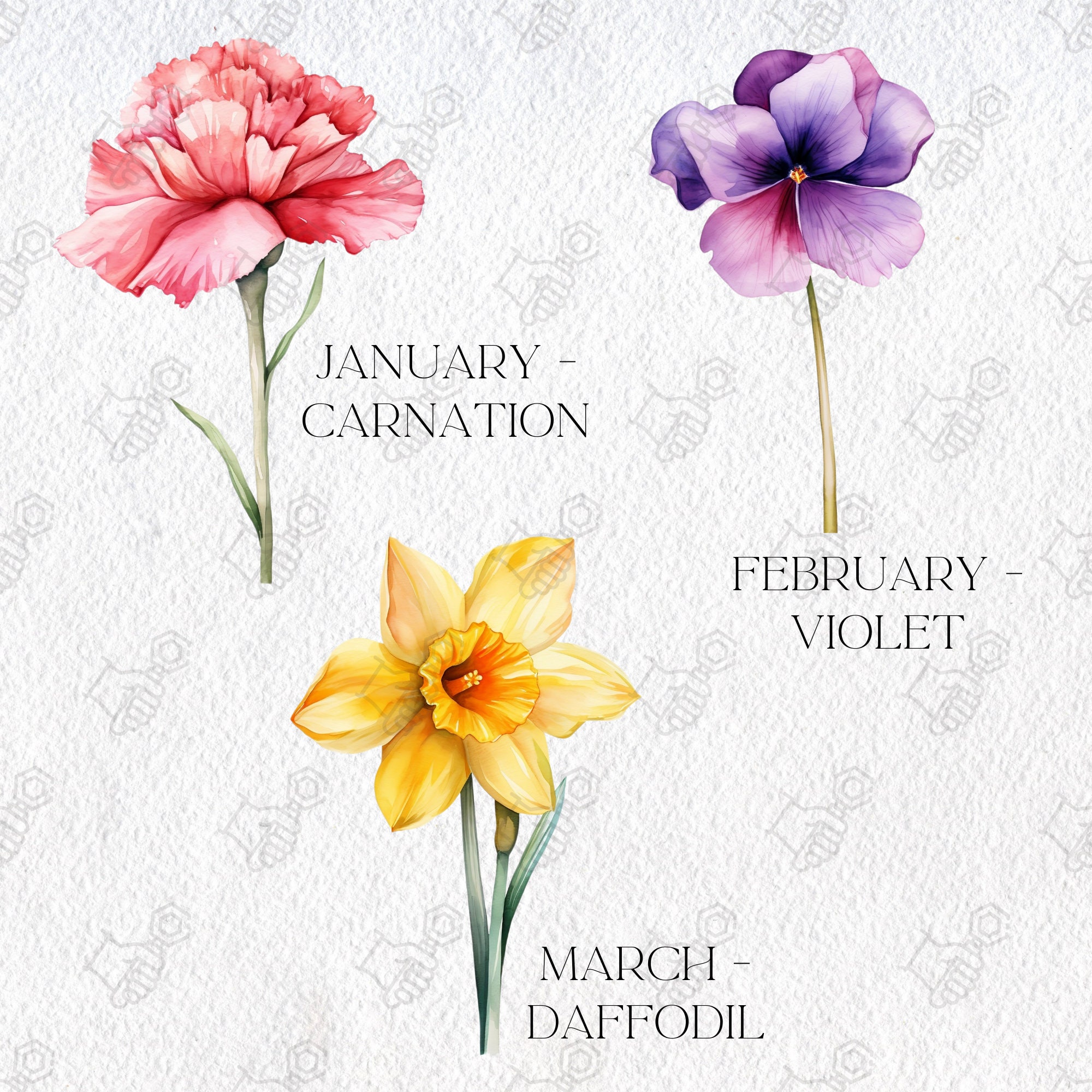Watercolor Birth Month Flower Clipart, Birth Month Flower PNG, Birth ...