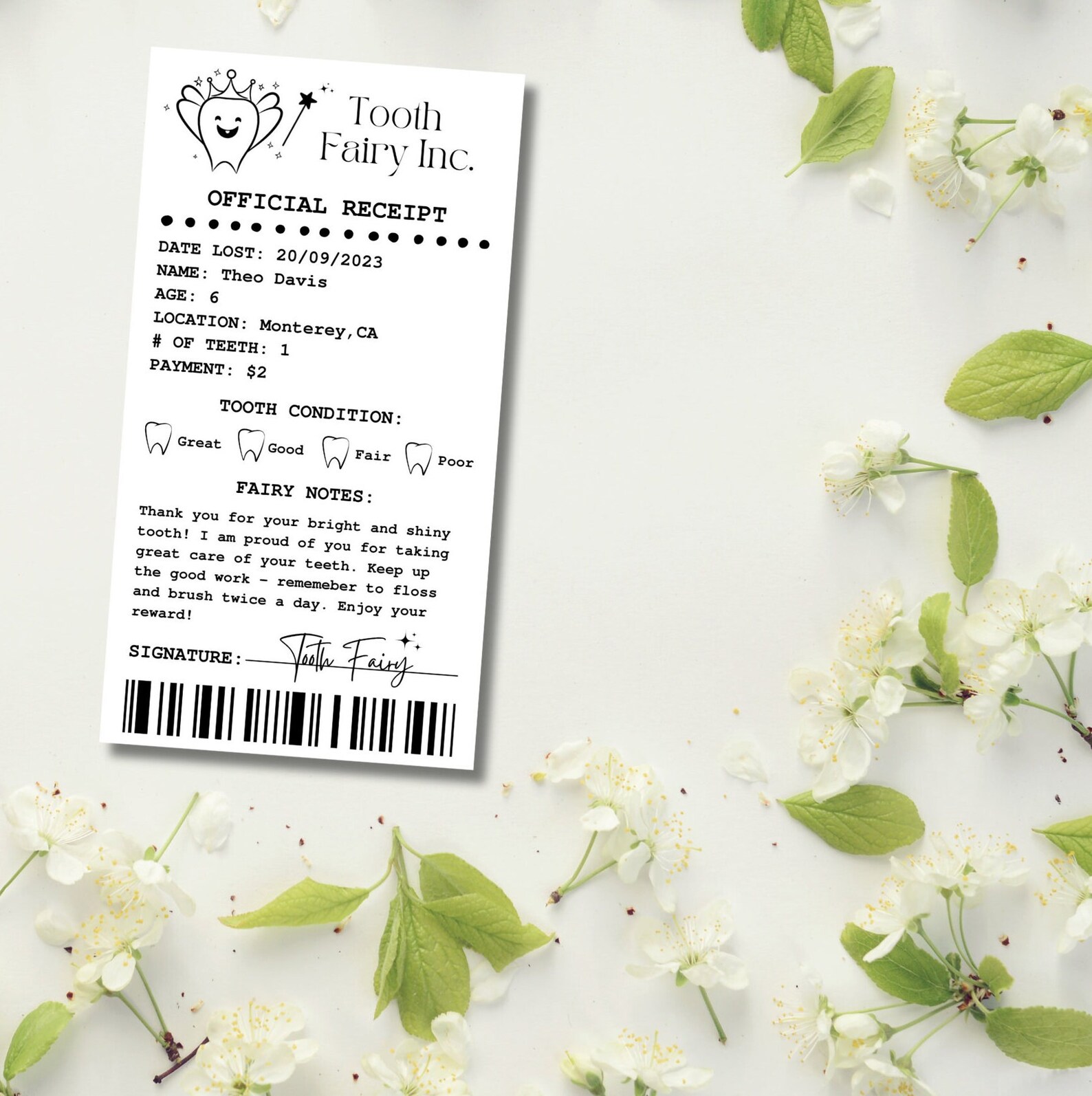Editable Tooth Fairy Receipt Printable Certificate, First Tooth Lost ...