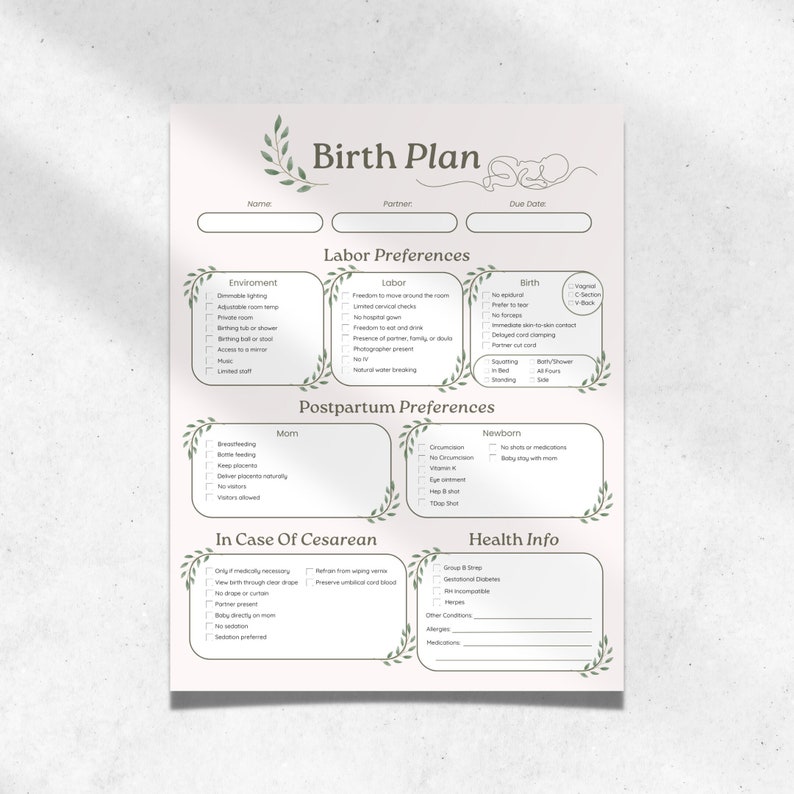 Editable Birth Plan Template: Pregnancy Planner Canva (digital Download ...