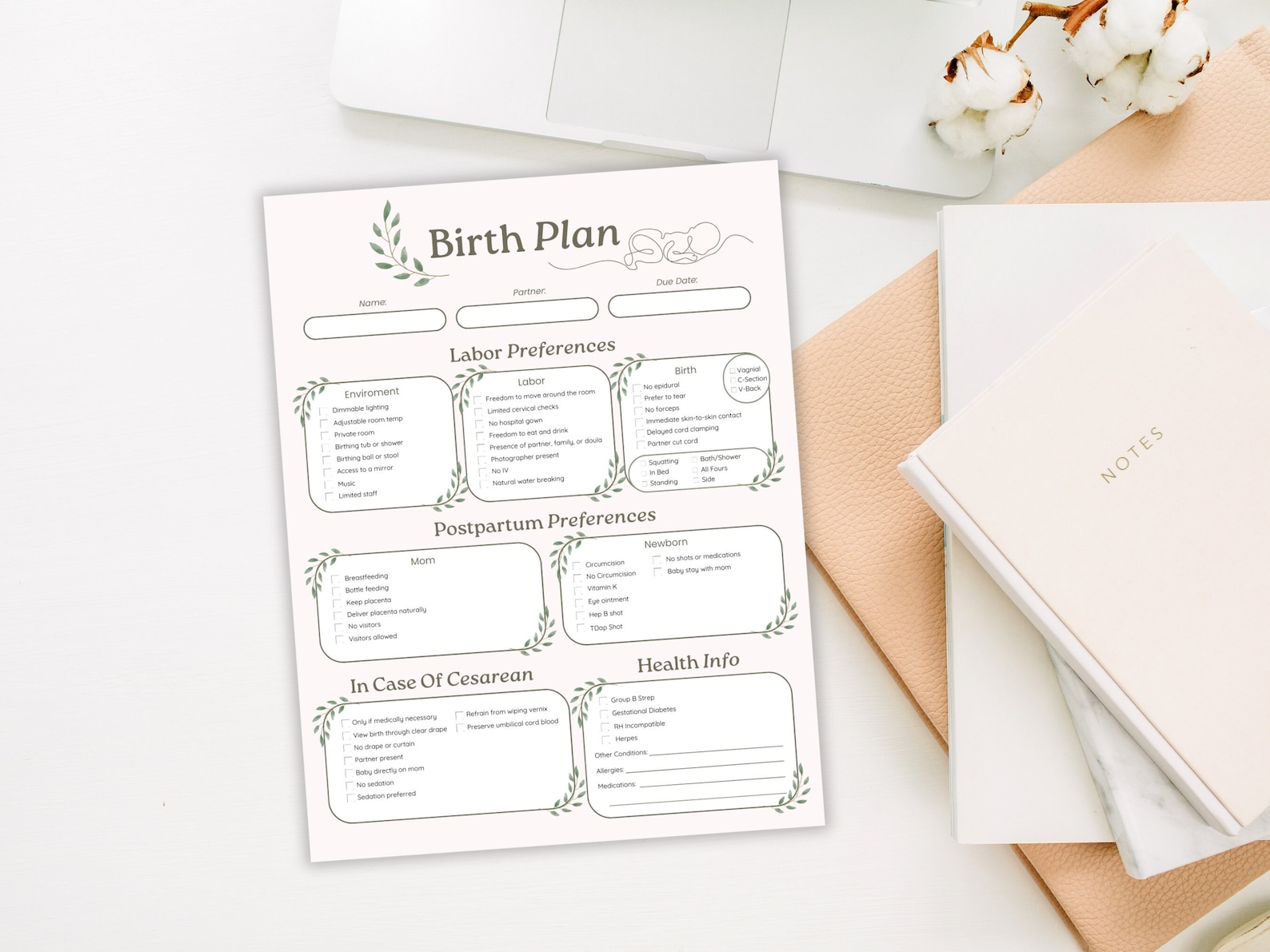 Editable Birth Plan Template: Pregnancy Planner Canva (digital Download ...
