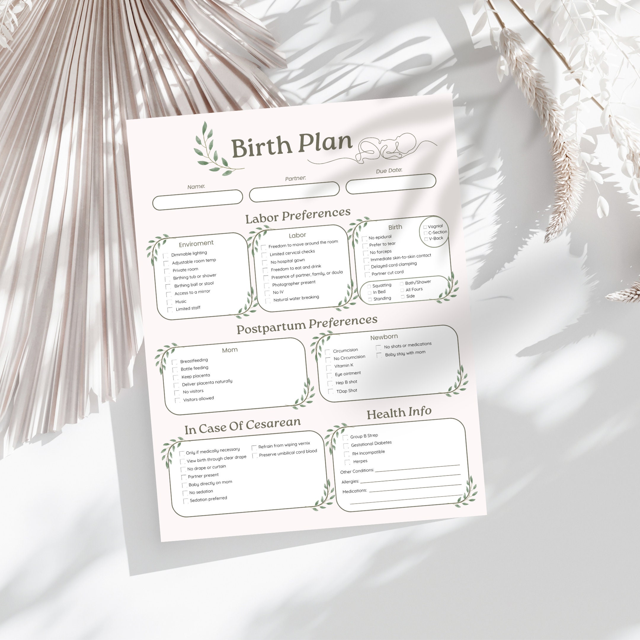 Editable Birth Plan Template: Pregnancy Planner Canva (digital Download ...