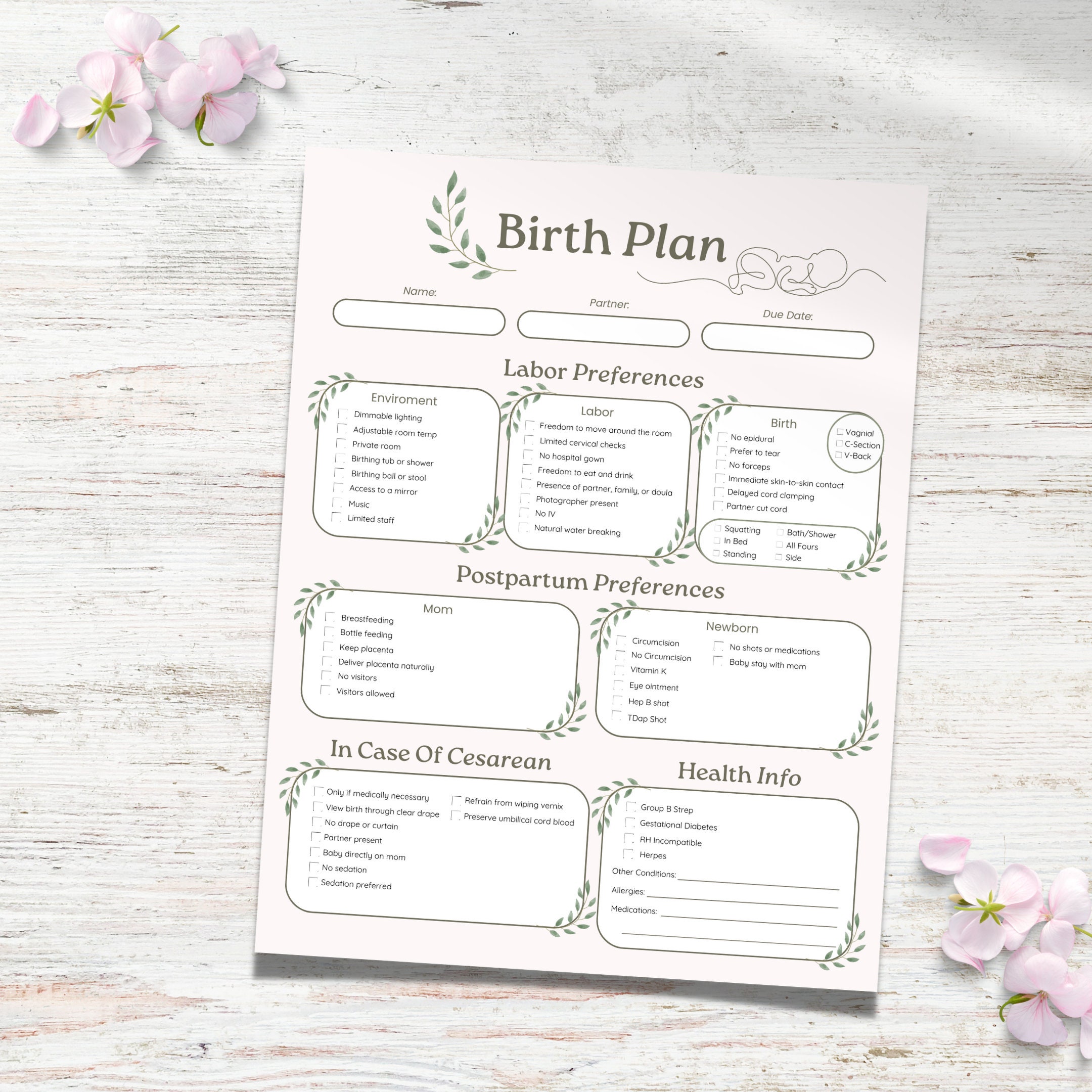 Editable Birth Plan Template Pregnancy Planner Labor and - Etsy