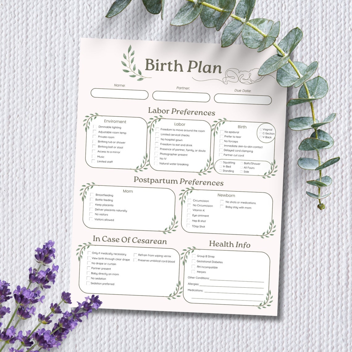 Editable Birth Plan Template: Pregnancy Planner Canva (digital Download ...