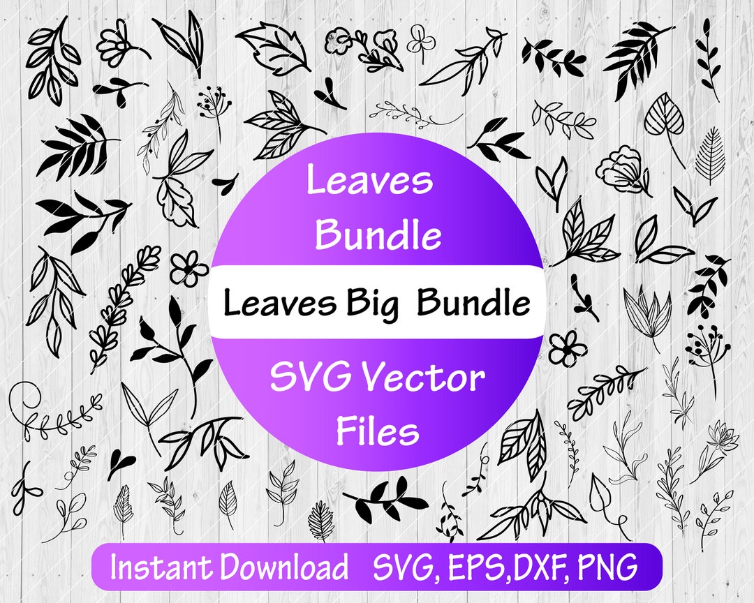 Leaf Bundle Svg,leaf Svg Bundle, Bundle Leaf Svg, Leaves Bundle, Leaf ...