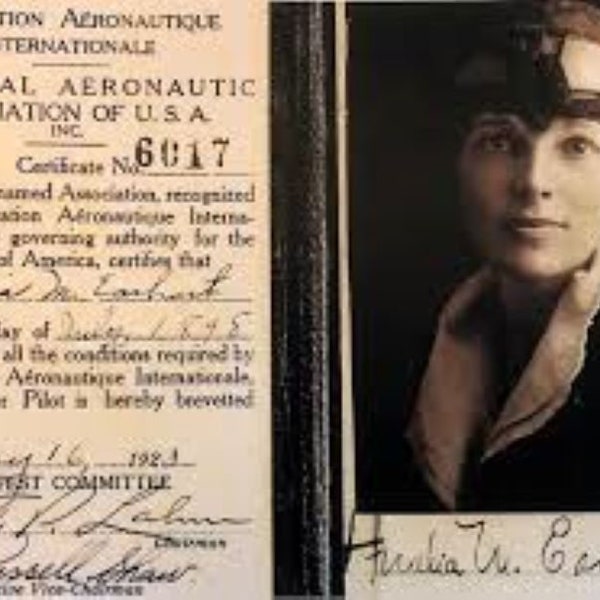 Amelia Earhart - Etsy