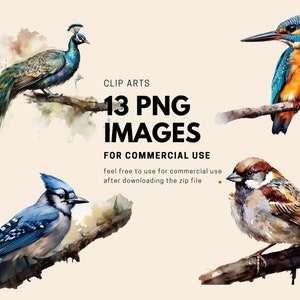 Watercolor Birds Clipart Set - 13 Colorful PNG Files for Digital ...