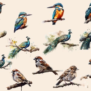 Watercolor Birds Clipart Set - 13 Colorful PNG Files for Digital ...