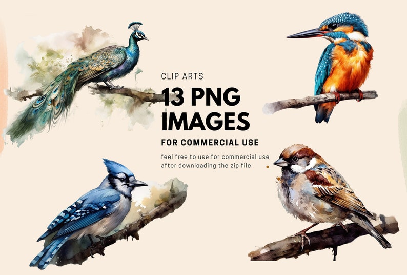 Watercolor Birds Clipart Set - 13 Colorful PNG Files for Digital ...