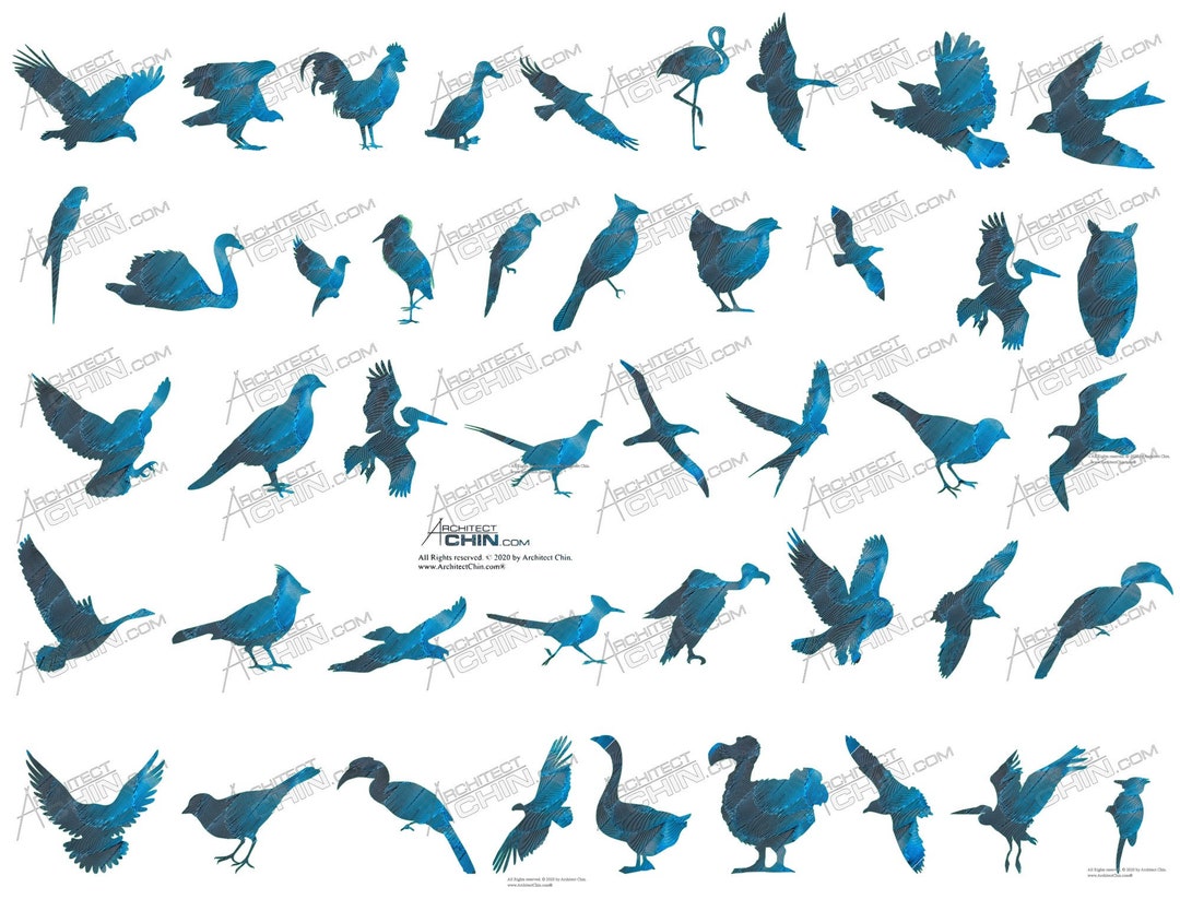 Blue Bird Silhouette, Printable, Digital Download, Bird Clip Art ...