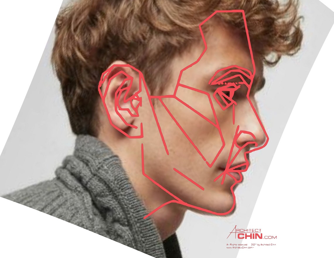 Male Face Template, Male Face Ratio, Male Face Grid, Side Face Template ...