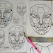 Male Face Template, Golden Ratio Grid, Front Face Sketch (digital ...