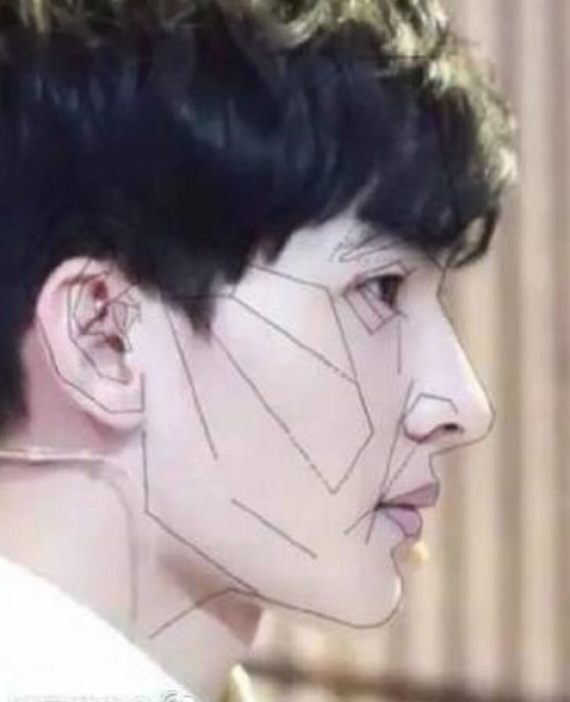 Male Face Template, Male Face Ratio, Male Face Grid, Side Face Template ...