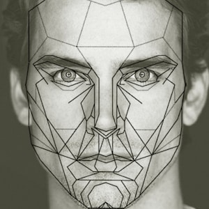 Male Face Template, Golden Ratio Grid, Front Face Sketch (digital ...
