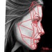 Female Face Template, Female Face Ratio, Female Face Grid, Side Face ...