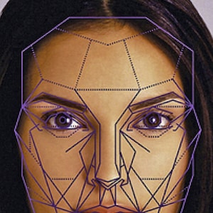 Female Face Template, Golden Ratio Grid (digital Download) - Etsy